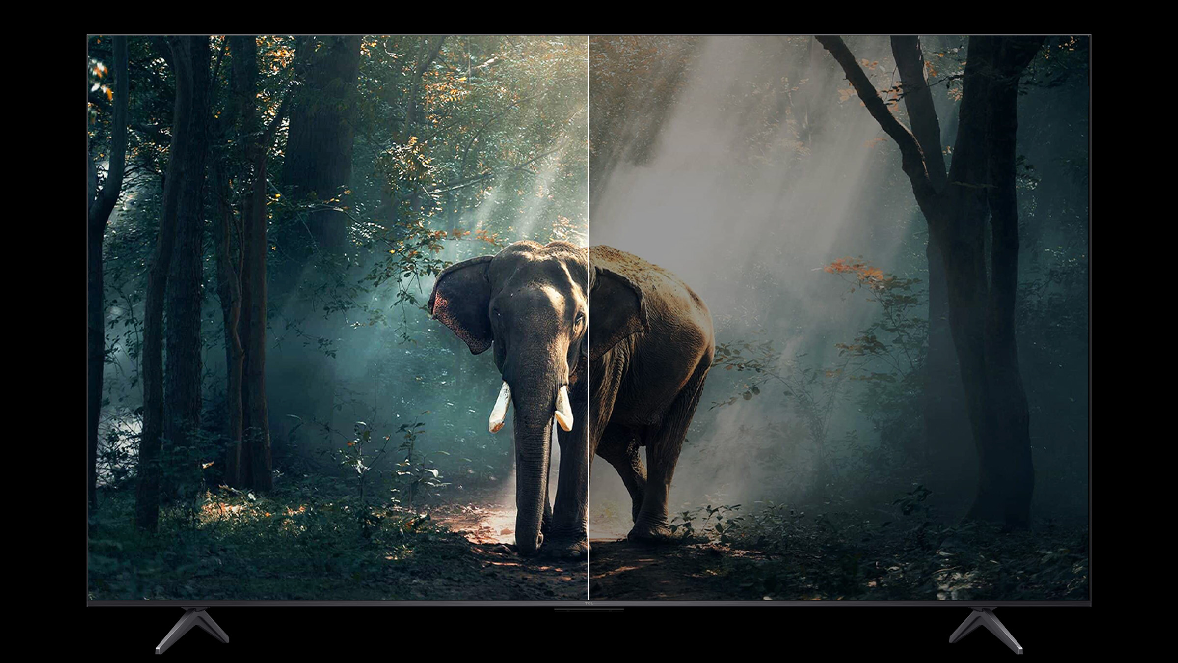 TV-TCL TV C6K Premium QD-MiniLED TV TCL TV C6K Premium QD-Mini LED TV | TCL Australia / English