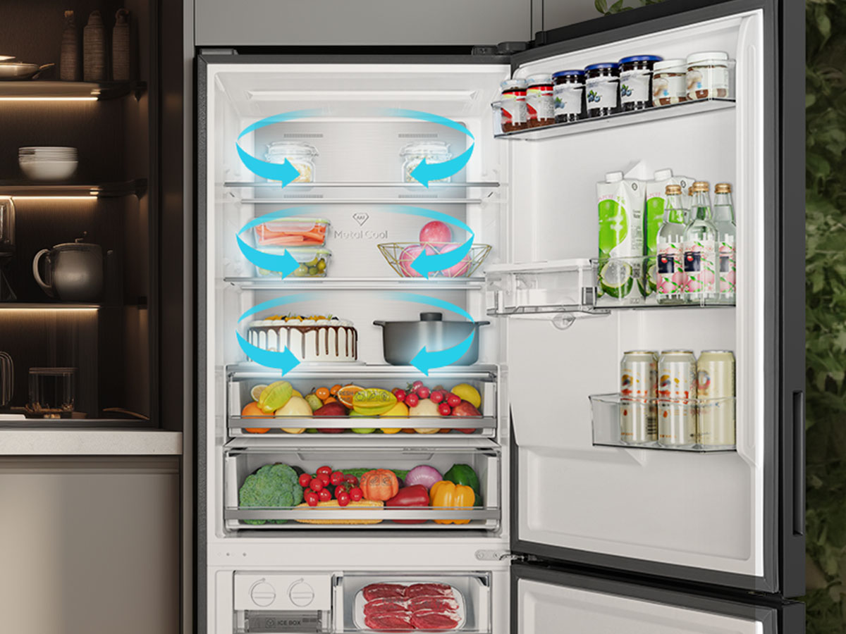 412L Bottom Mount Fridge | TCL Australia
