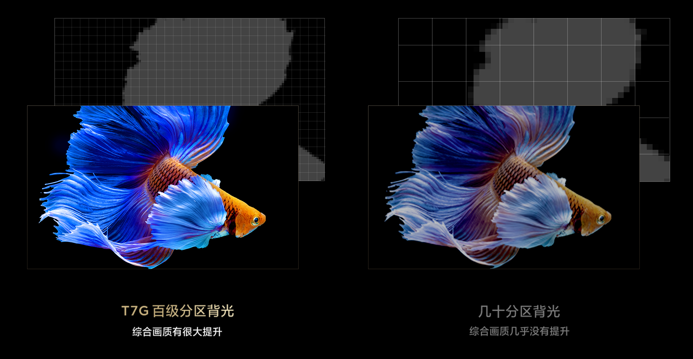 TCL T7G-55英寸高画质液晶电视-144Hz高刷电视 | TCL官网