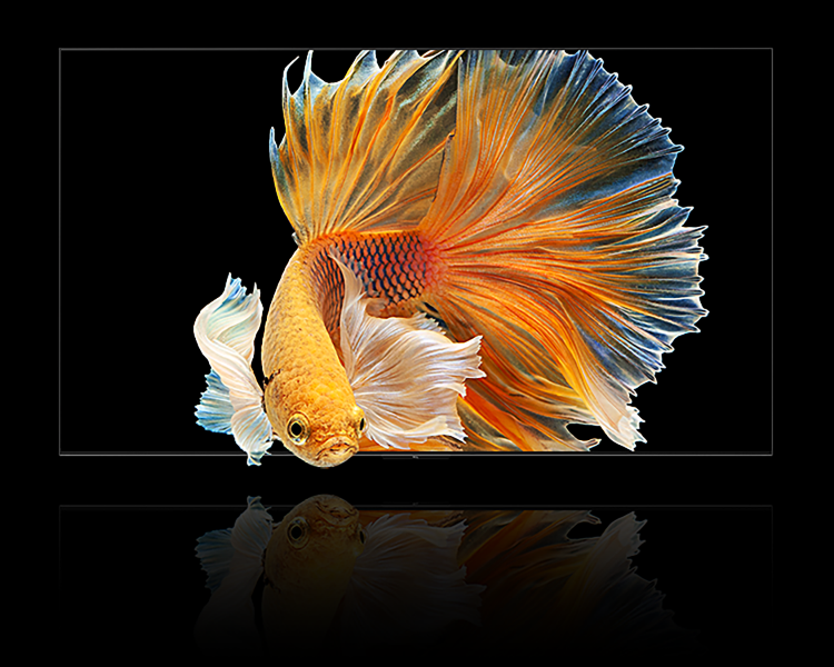 144Hz 真高刷电视 55T7E