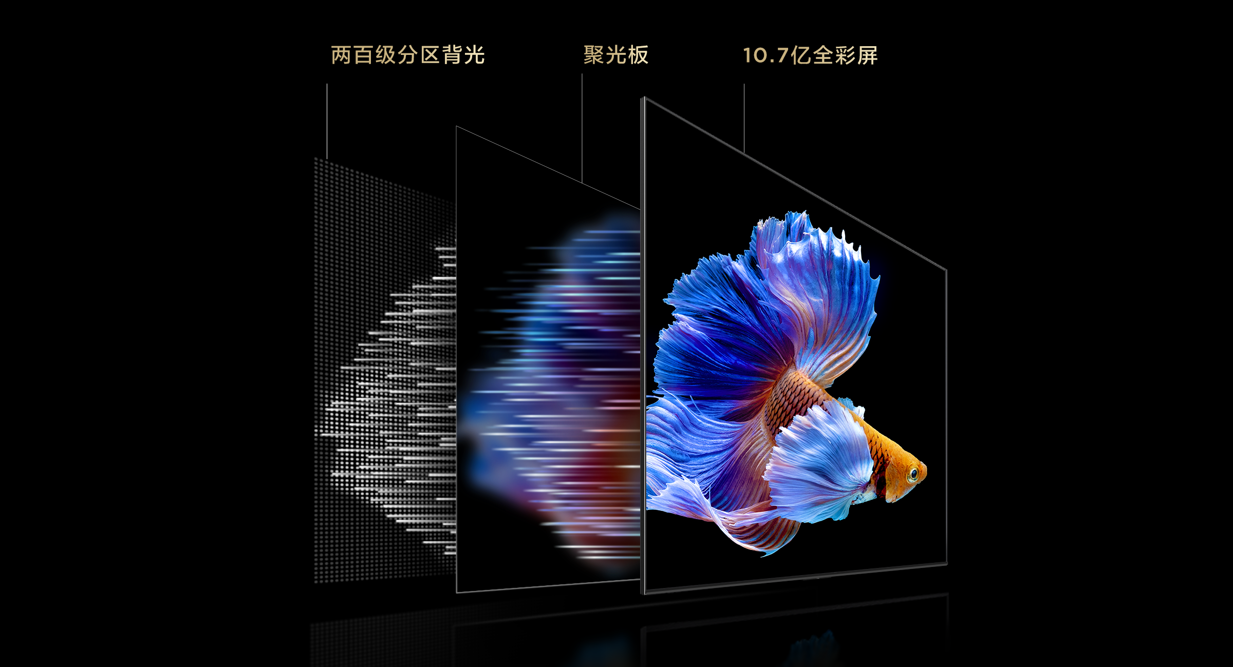 TCL 98英寸T7E巨幕电视-144Hz真高刷巨幕 | TCL官网