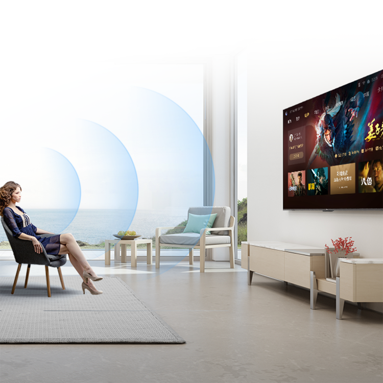 120Hz 疾速投屏神机 75V8E