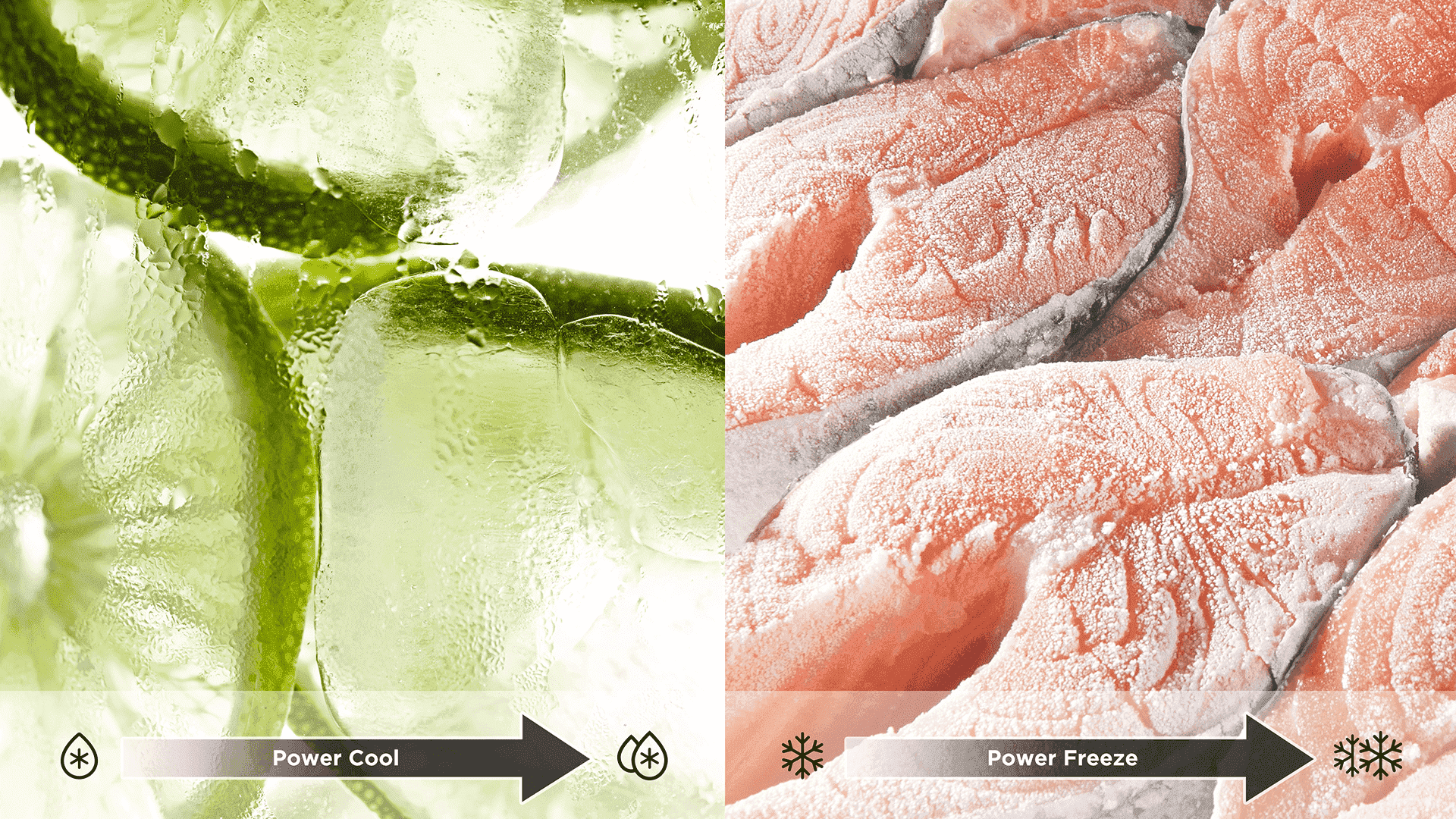 Combi Fridge Freezer RP282BSE0